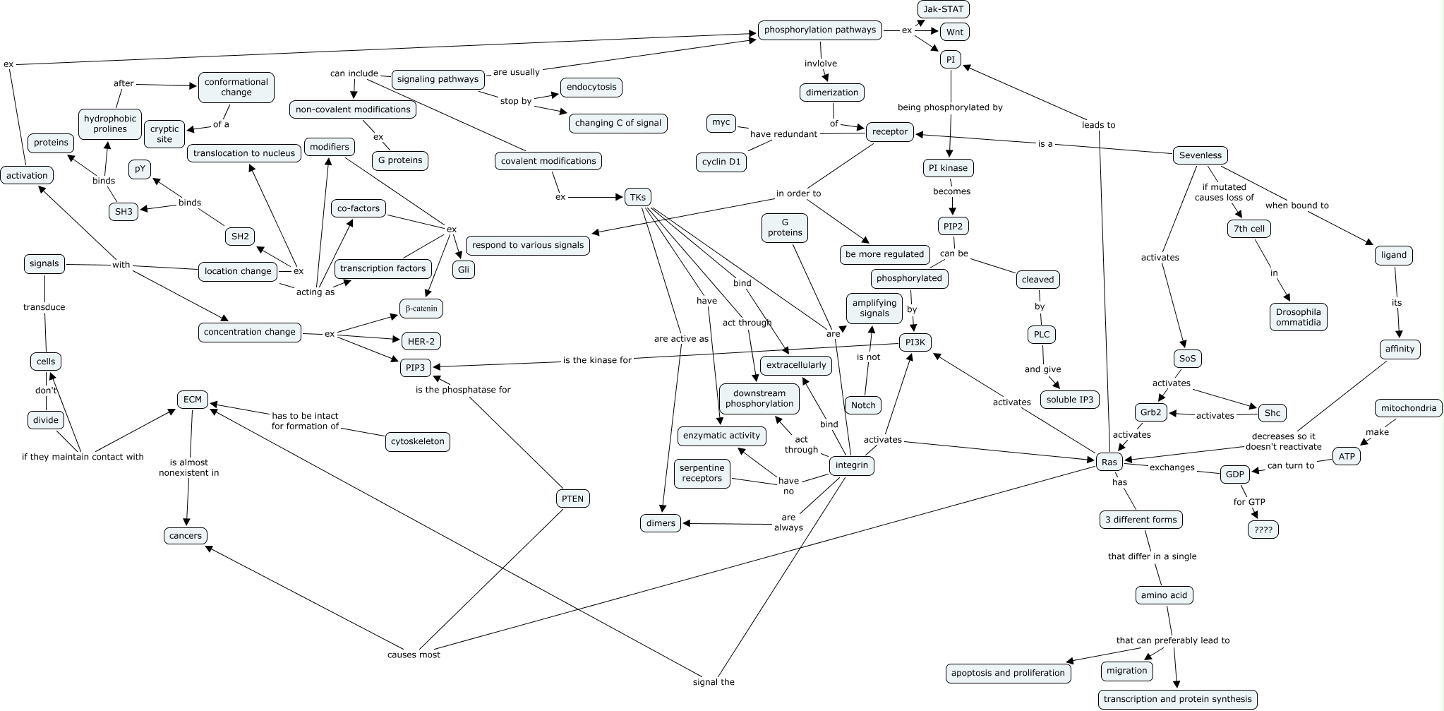 Chapter 6 Discussion Map